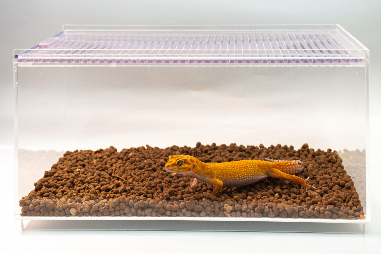 DIO BOX – biokimia バイオキミア