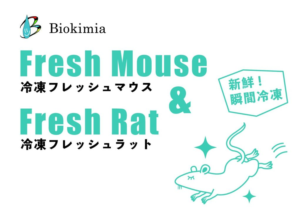 Fresh Mouse Fresh Rat – biokimia バイオキミア